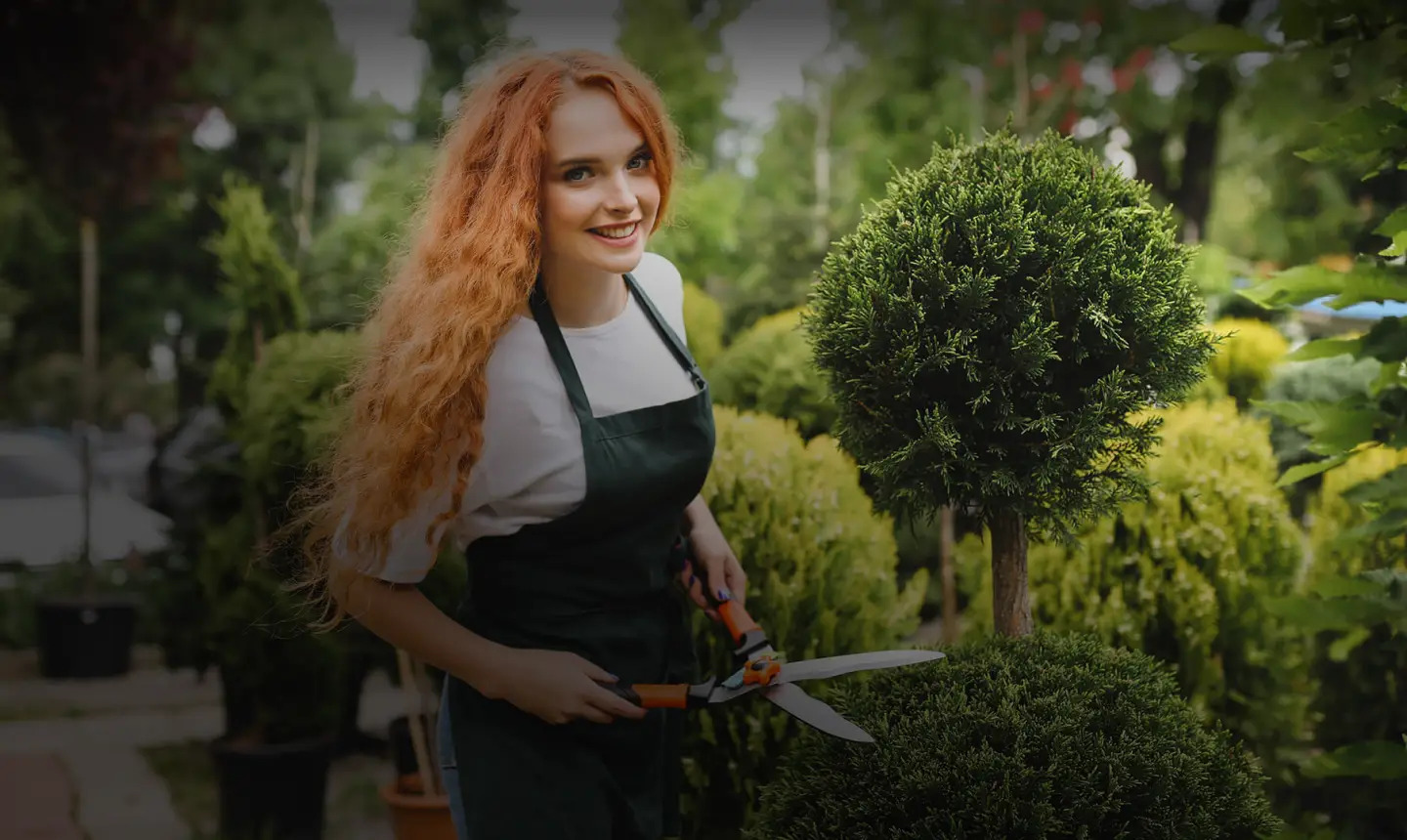 Essential Guide to Hedge Trimming in Wood Green